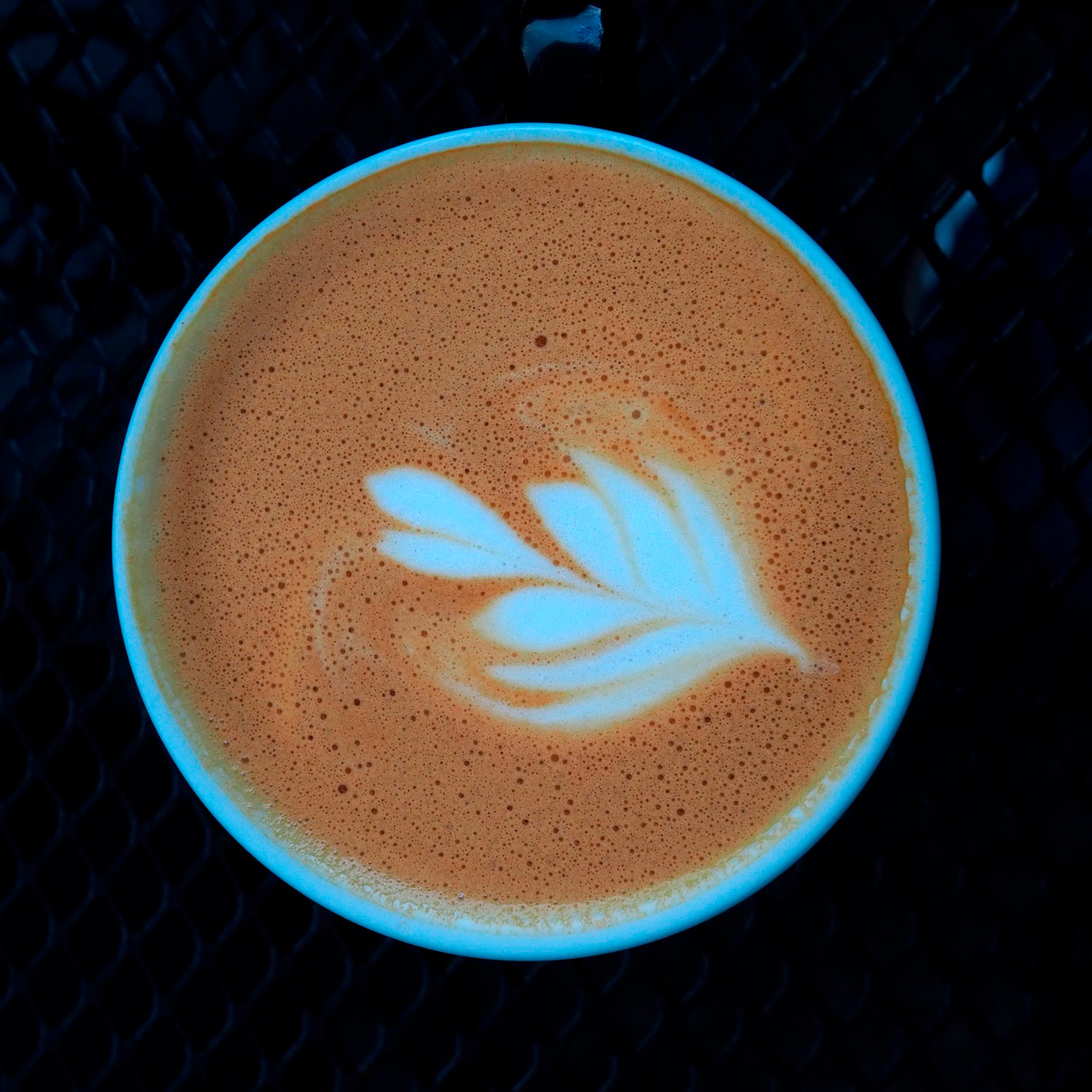 Alquimia Café — Narvarte Poniente - Café con Pan MX — La guía oficial